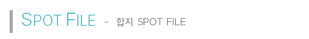 합지 SPOT FILE